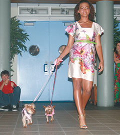 Tortuga Moon helps ailing critters - Cayman Compass