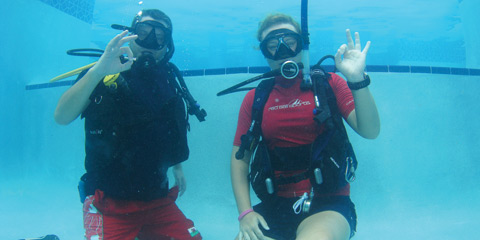 A life aquatic beckons at last - Cayman Compass